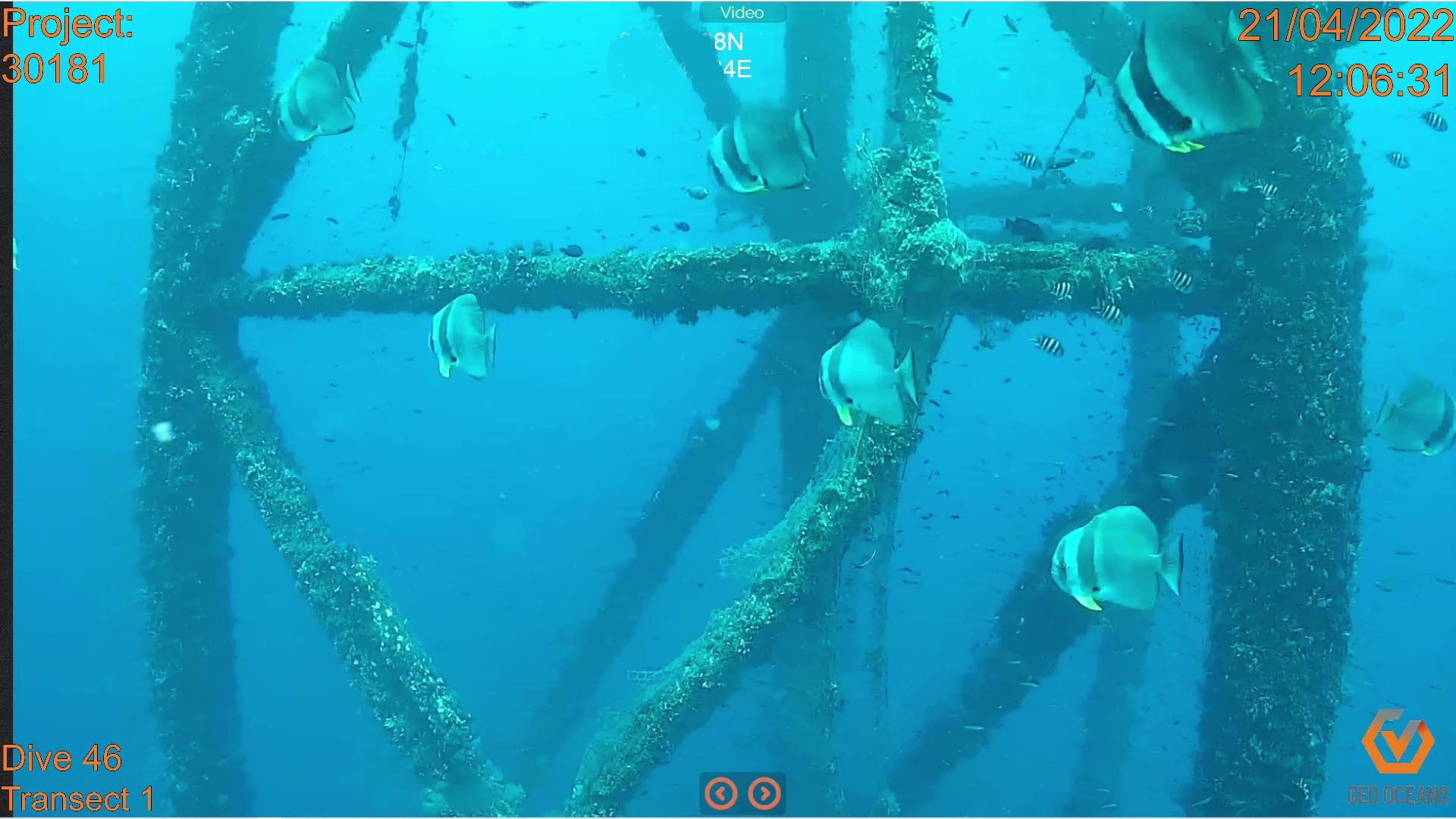 Geo Oceans Completes Large Jacket Marine Growth Survey and Coral ...