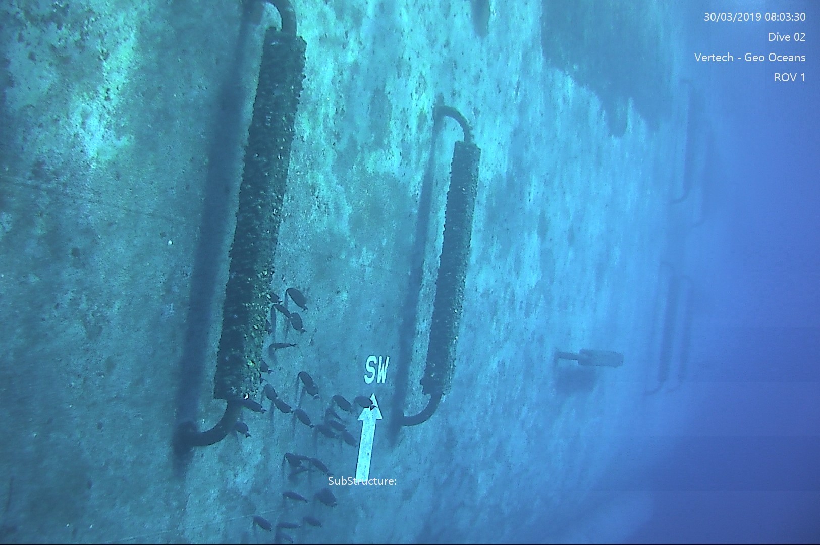 FPSO In-Water Class Survey | Project Examples | Geo Oceans