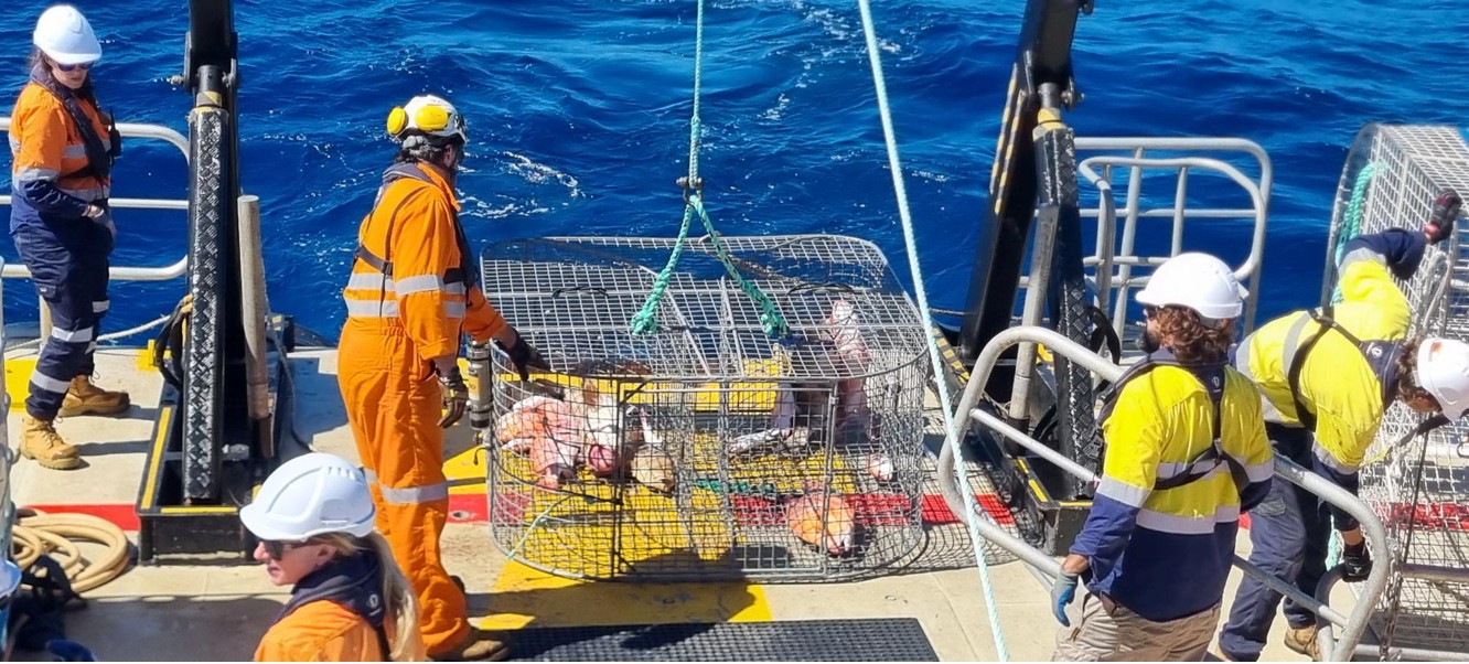 Decommissioning Environmental Survey - Geo Oceans