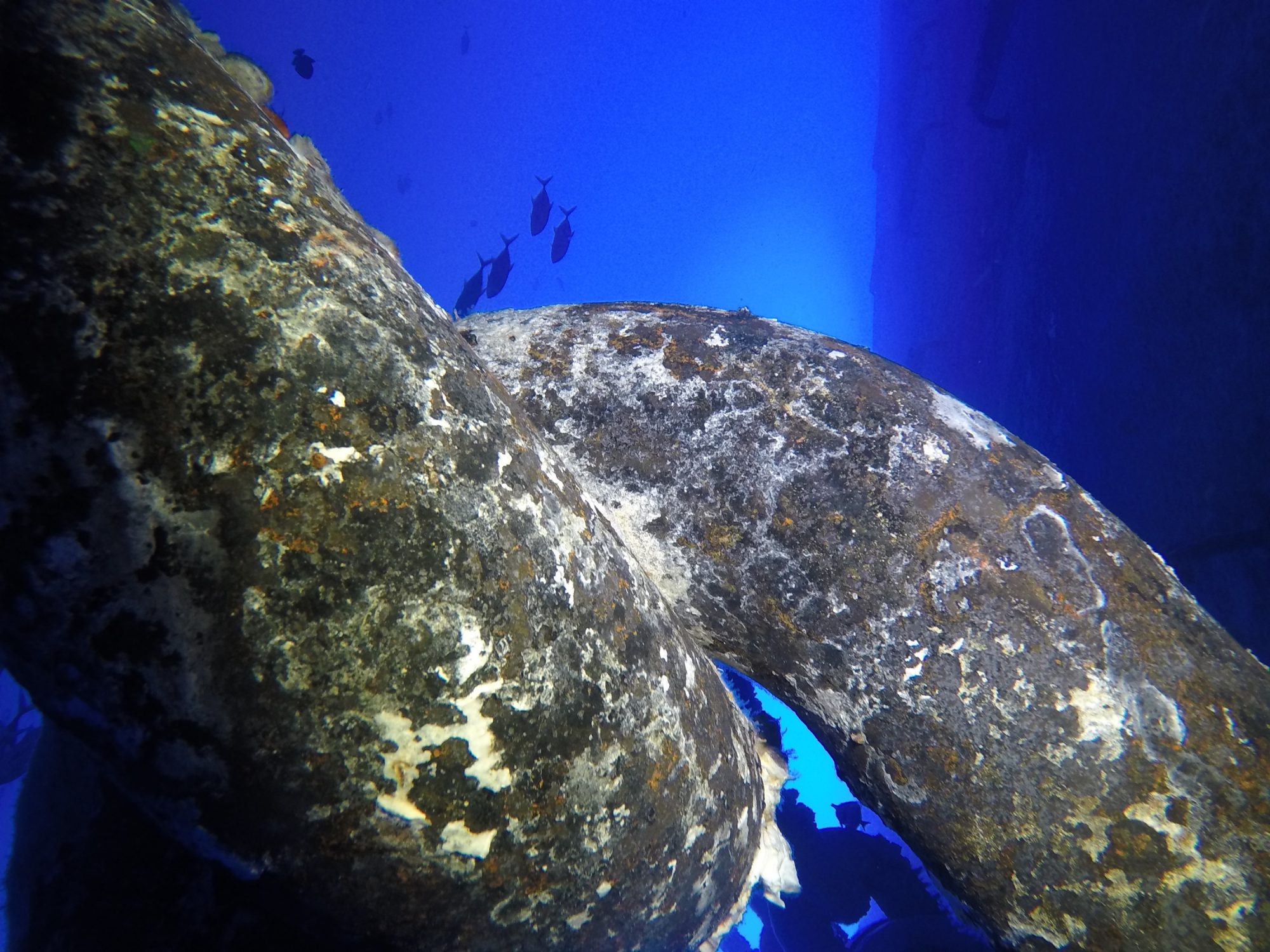 Geo Oceans Succeeds with Specialist-Access ROV Asset Inspection | Geo ...