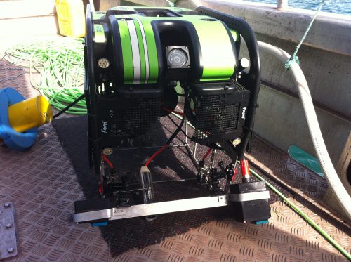 Australian Giant Cuttlefish ROV Population Research - Geo Oceans