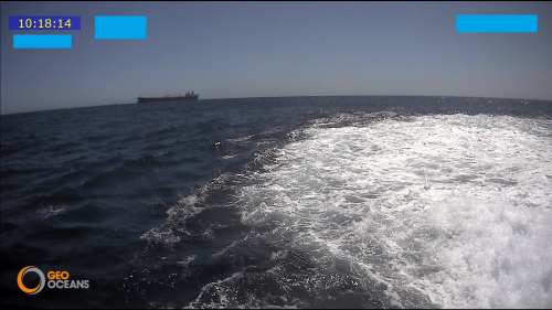 Stag Full Field Survey ROV Inspection - Geo Oceans