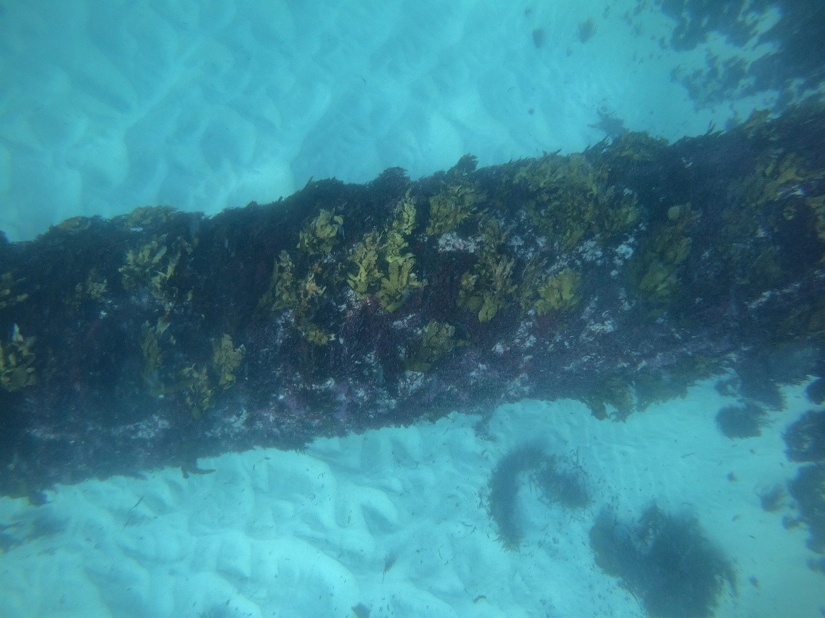 SUCCESSFUL, SAFE AND EFFECTIVE OUTFALL INSPECTIONS USING AUTONOMOUS ...