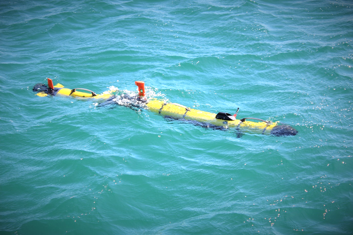 Application of Autonomous Underwater Vehicles (AUV) for Debris Clearance and Object Detection ...