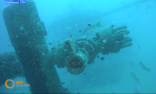 Stag Full Field Survey ROV Inspection - Geo Oceans