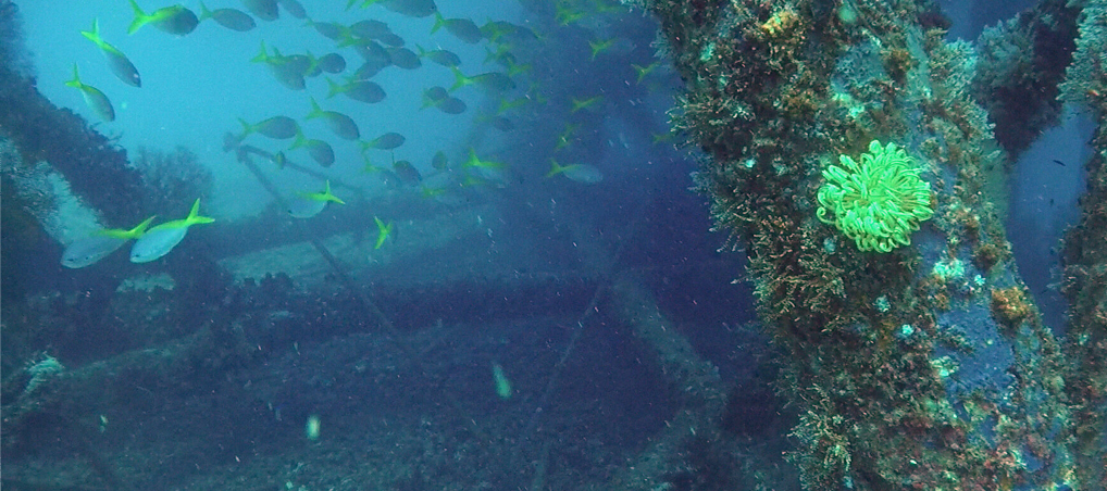 Jetty Inspection Campaign - Geo Oceans